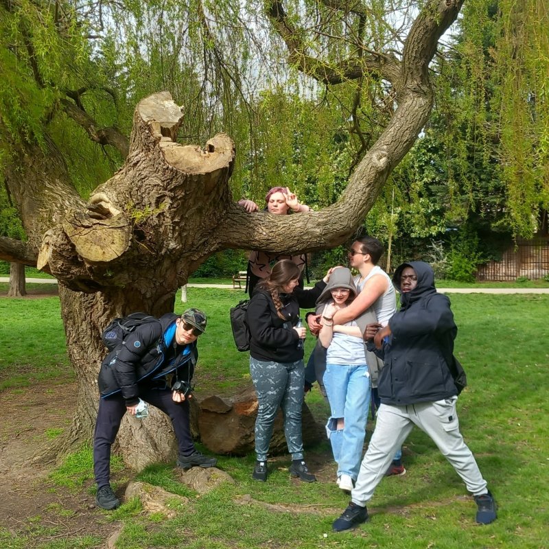 Sycamore Trust - Three parks challenge!